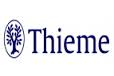 logo thieme 3 mic mic - Enformation